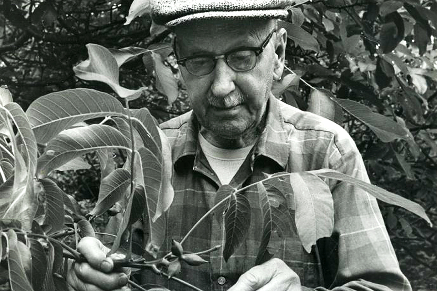 The Mack Laing Trust: BC Supreme Court hears arguments in 40-year case ...